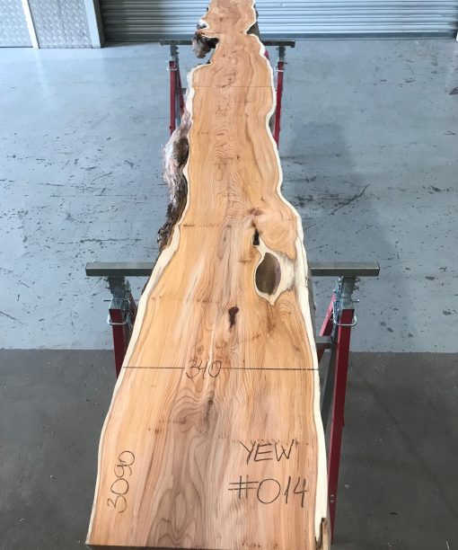 Premium Quality Kiln-Dried Yew Timber for Furniture, Flooring, and Millwork