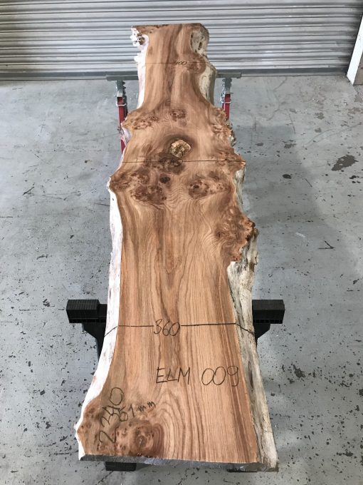 Live Edge Elm Kiln Dried ⁄ Elephant Timber Supplies