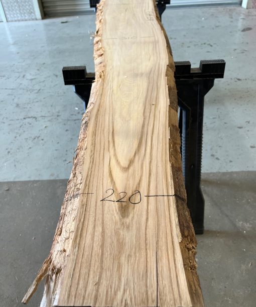 Sappy Elm and Spalted Elm Kiln Dried 27mm Thick Buy Online