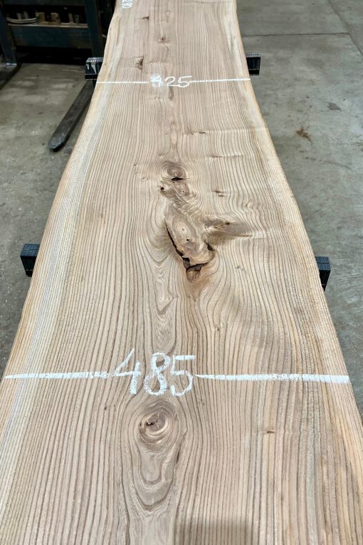 Elm #060 ⁄ Elephant Timber Supplies