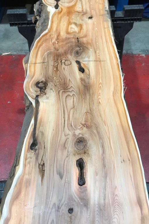 Premium Quality Kiln-Dried Yew Timber for Furniture, Flooring, and Millwork