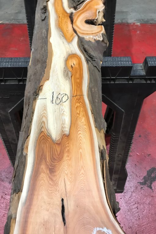 Premium Quality Kiln-Dried Yew Timber for Furniture, Flooring, and Millwork