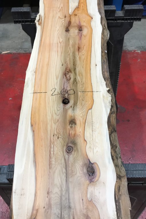 Premium Quality Kiln-Dried Yew Timber for Furniture, Flooring, and Millwork