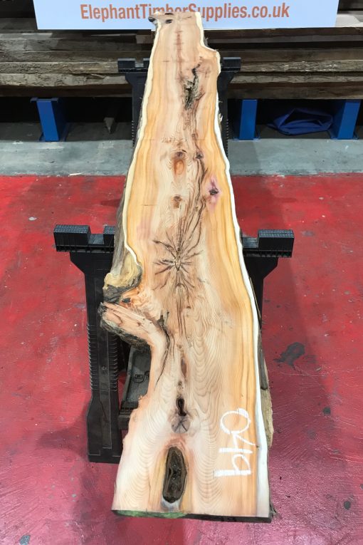 Premium Quality Kiln-Dried Yew Timber for Furniture, Flooring, and Millwork