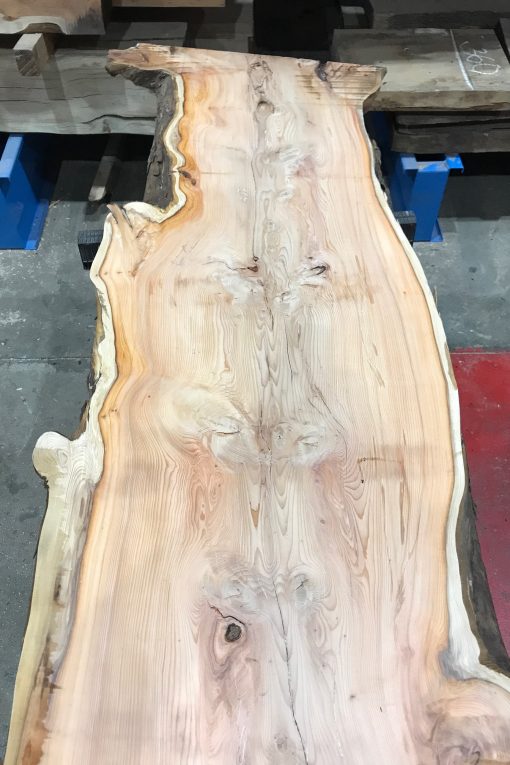 Premium Quality Kiln-Dried Yew Timber for Furniture, Flooring, and Millwork