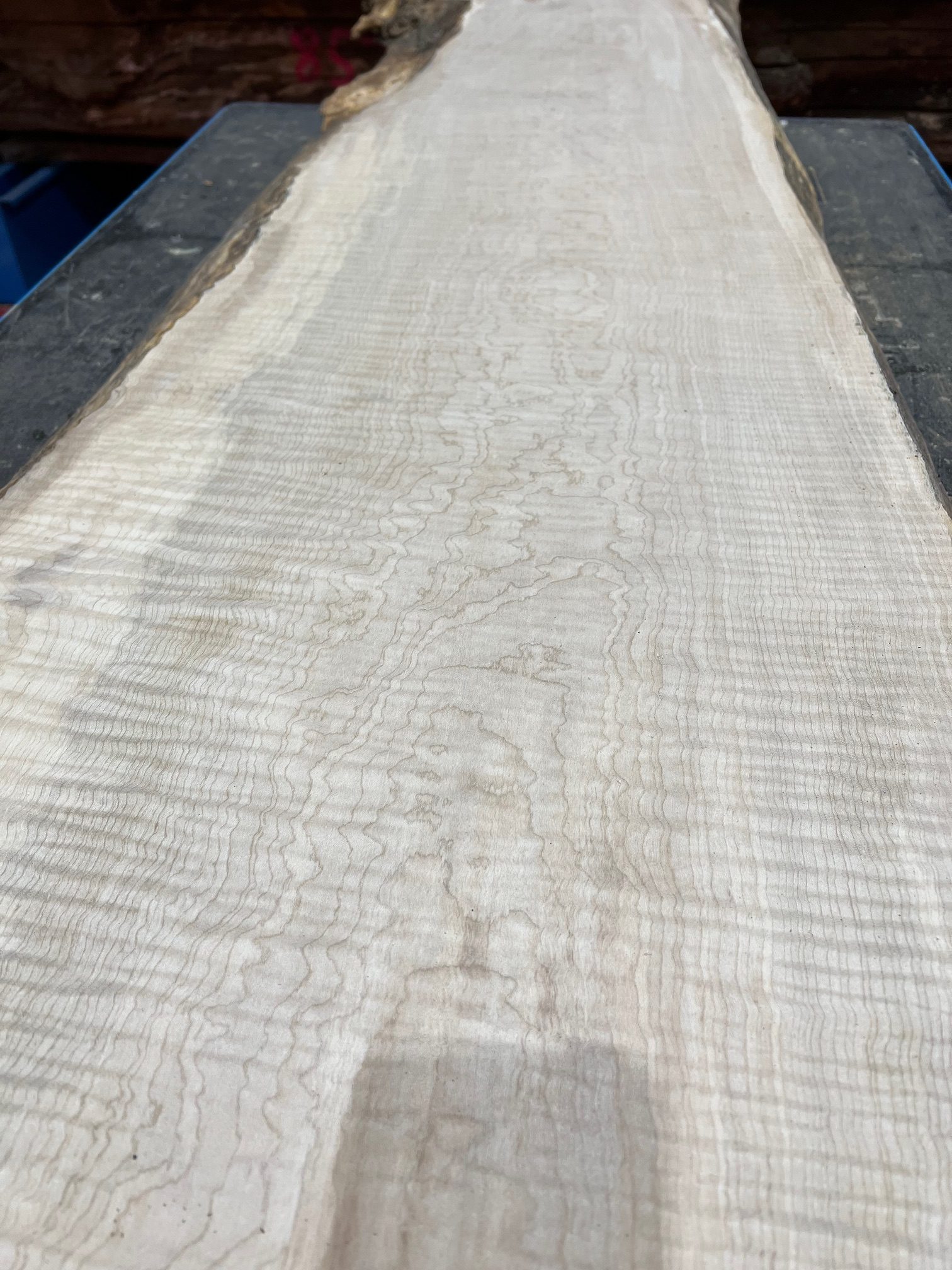 Sycamore #005 kiln dried timber planks with live wayne edges