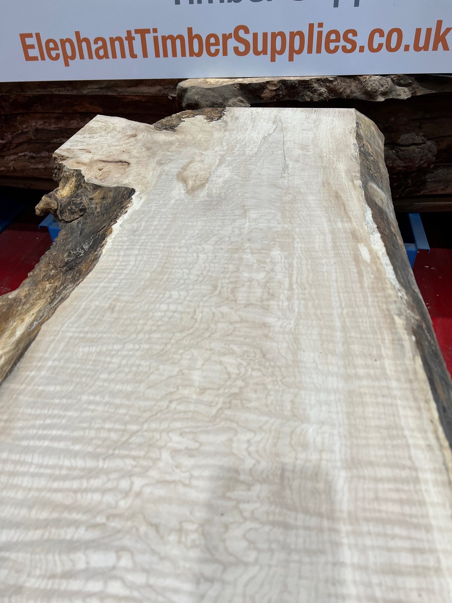 Sycamore #005 kiln dried timber planks with live wayne edges