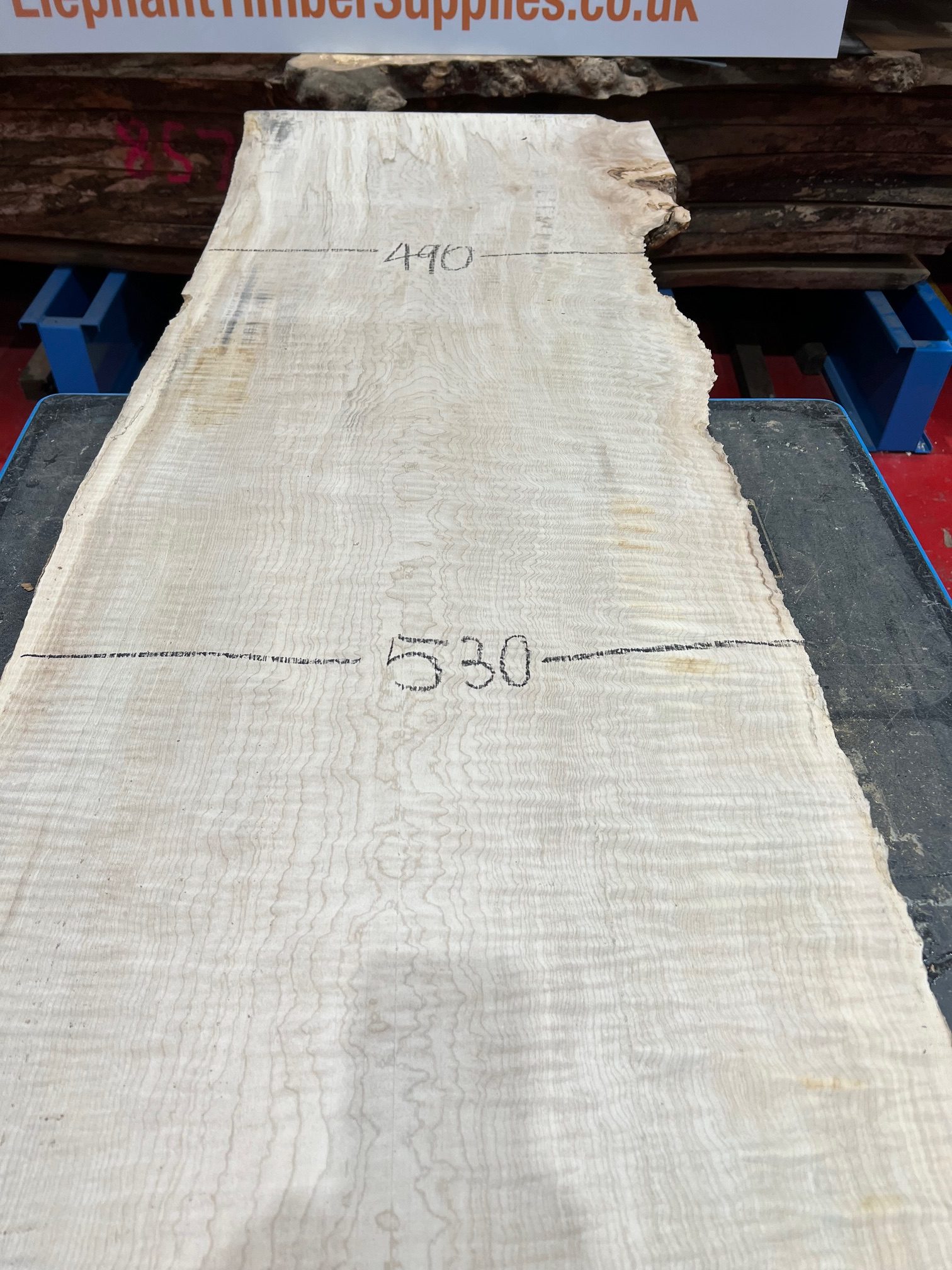 Sycamore #005 kiln dried timber planks with live wayne edges