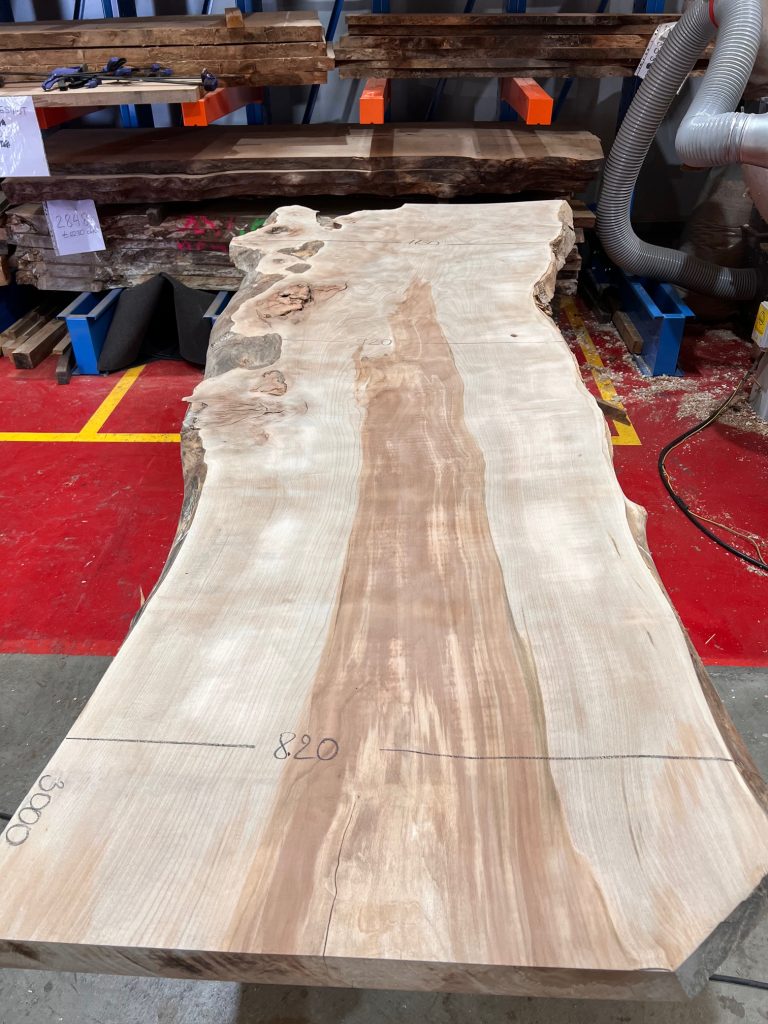 Sycamore #005 kiln dried timber planks with live wayne edges