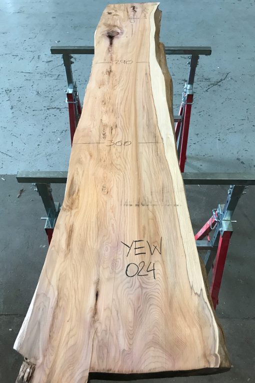 Premium Quality Kiln-Dried Yew Timber for Furniture, Flooring, and Millwork