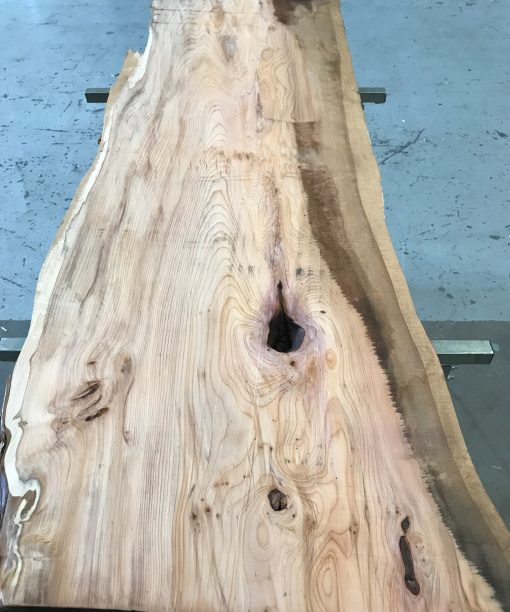Premium Quality Kiln-Dried Yew Timber for Furniture, Flooring, and Millwork