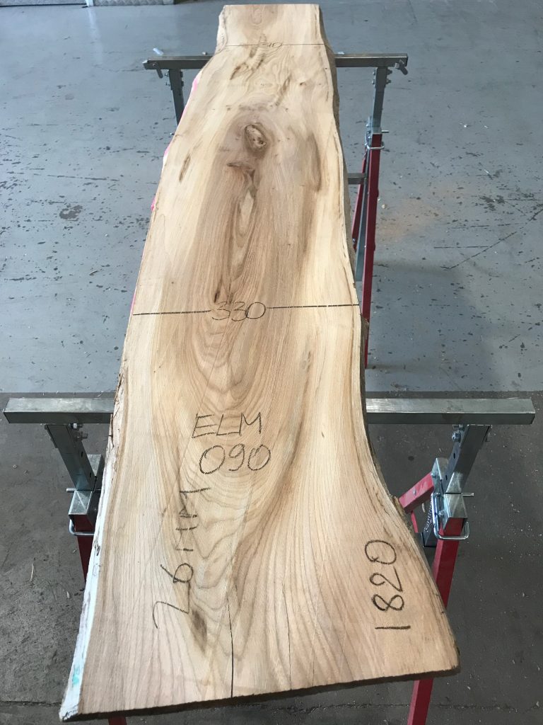 Spalted Elm #091 ⁄ Elephant Timber Supplies