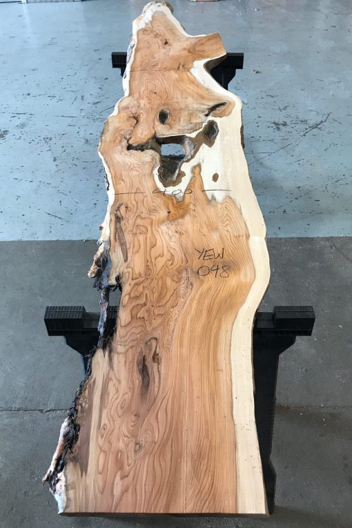 Premium Quality Kiln-Dried Yew Timber for Furniture, Flooring, and Millwork