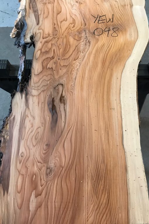 Premium Quality Kiln-Dried Yew Timber for Furniture, Flooring, and Millwork
