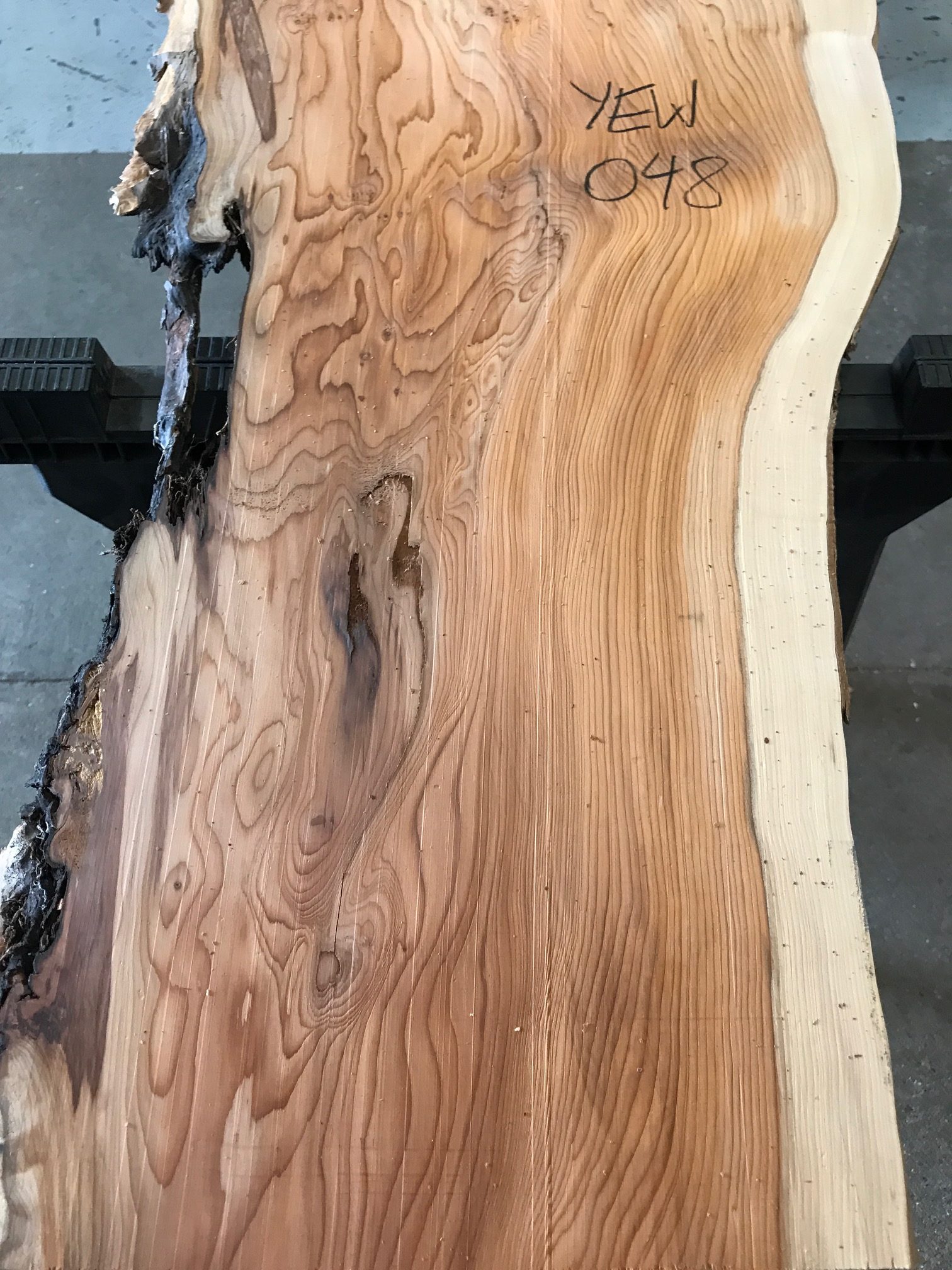 Yew #048 ⁄ Elephant Timber Supplies