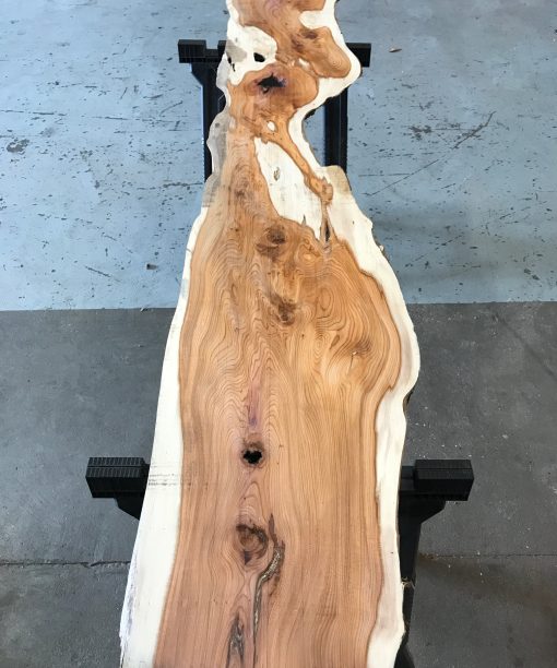 Premium Quality Kiln-Dried Yew Timber for Furniture, Flooring, and Millwork