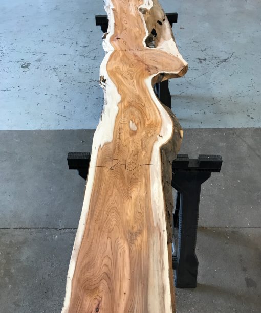 Premium Quality Kiln-Dried Yew Timber for Furniture, Flooring, and Millwork