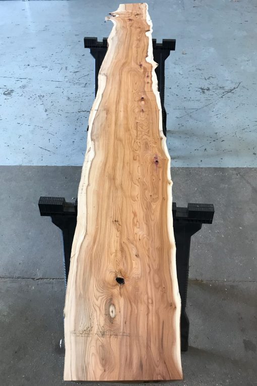 Premium Quality Kiln-Dried Yew Timber for Furniture, Flooring, and Millwork