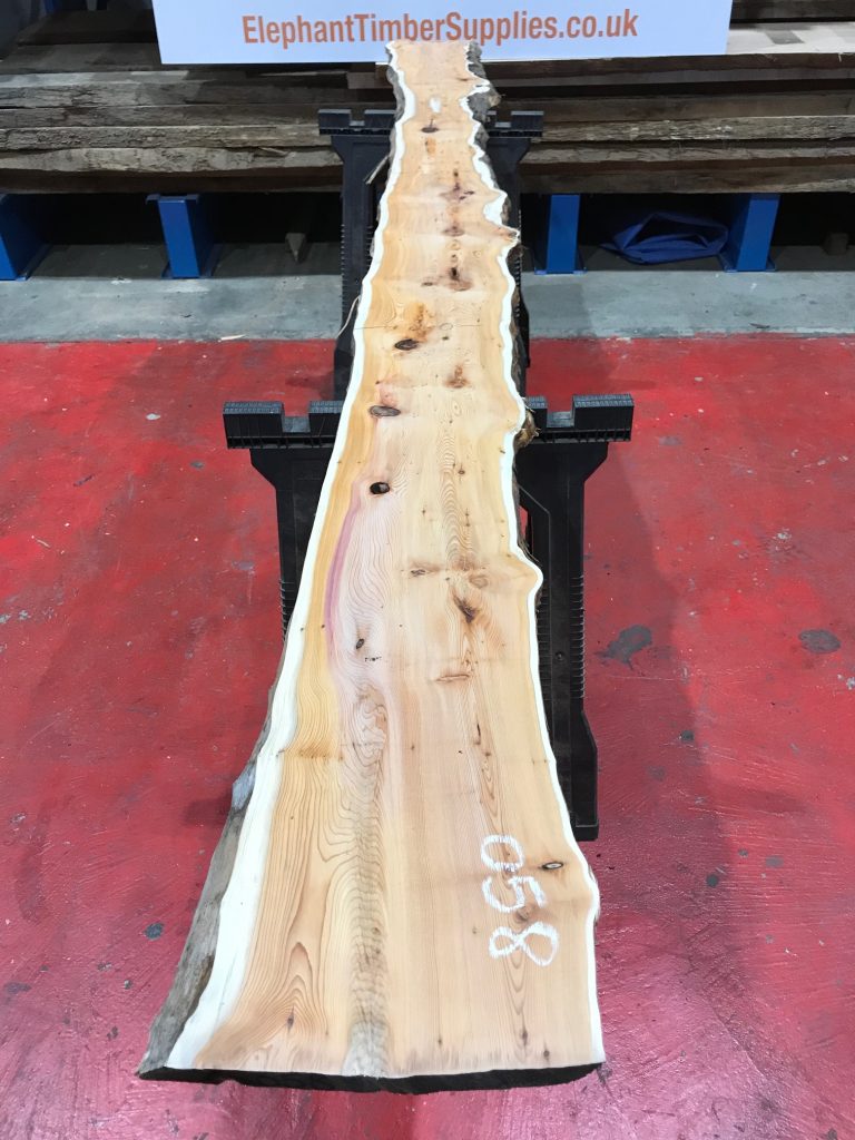 Yew #058 Kiln Dried Plank with live wayne edges
