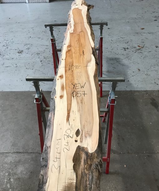 Premium Quality Kiln-Dried Yew Timber for Furniture, Flooring, and Millwork