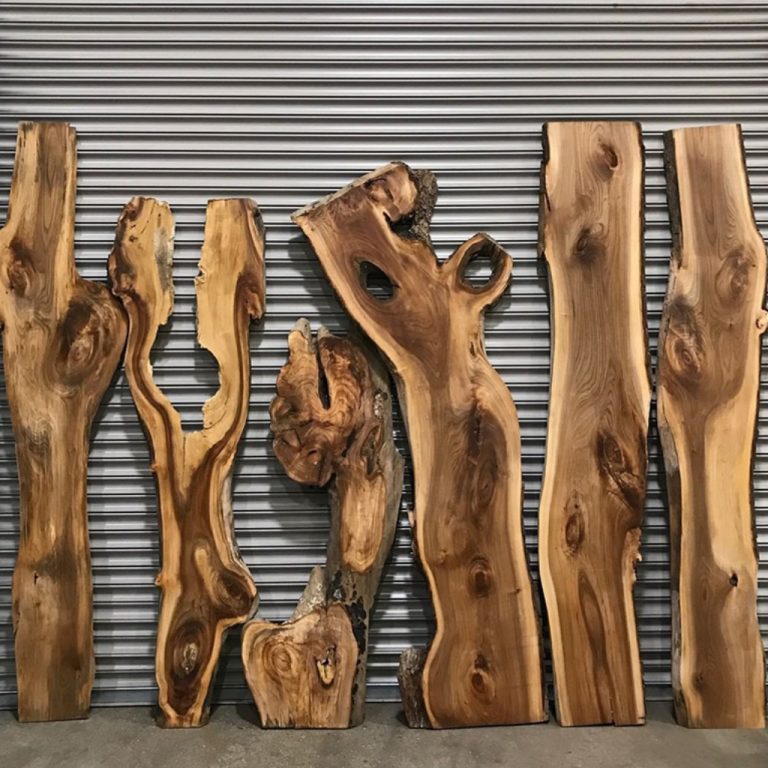 Timber Species Selection - Guide from Elephant Timber Supplies