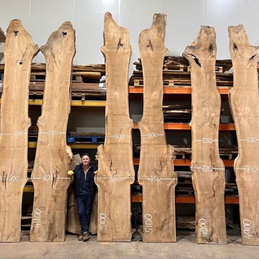 Timber Species Selection - Guide from Elephant Timber Supplies