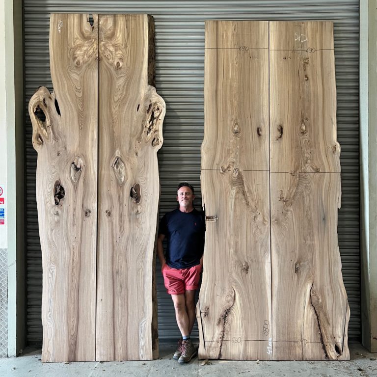 Large wood slabs from beautiful tree trunks