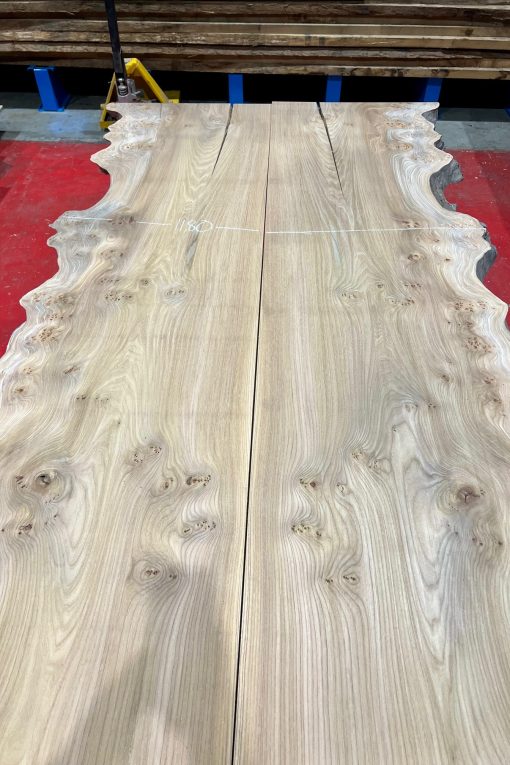 Live Edge Elm Kiln Dried ⁄ Elephant Timber Supplies