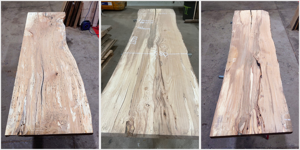 Spotlight on Beech Planks from Elephant Timber