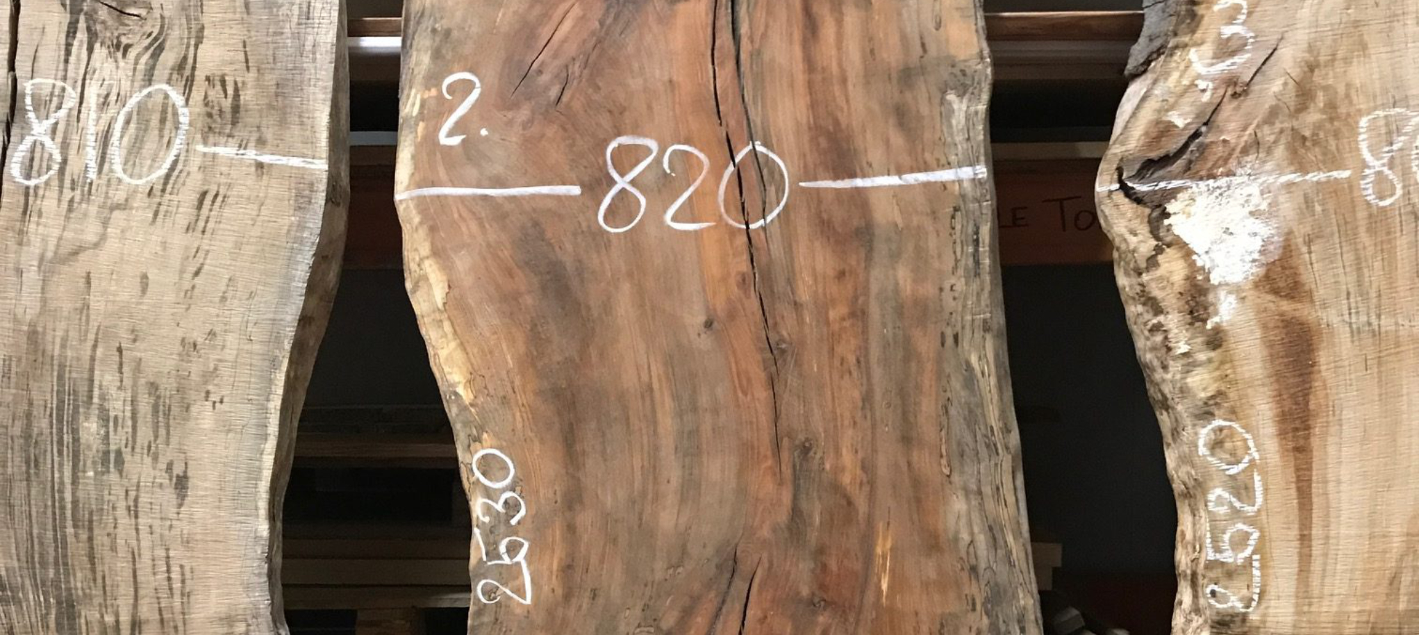 Spotlight on Beech Planks from Elephant Timber