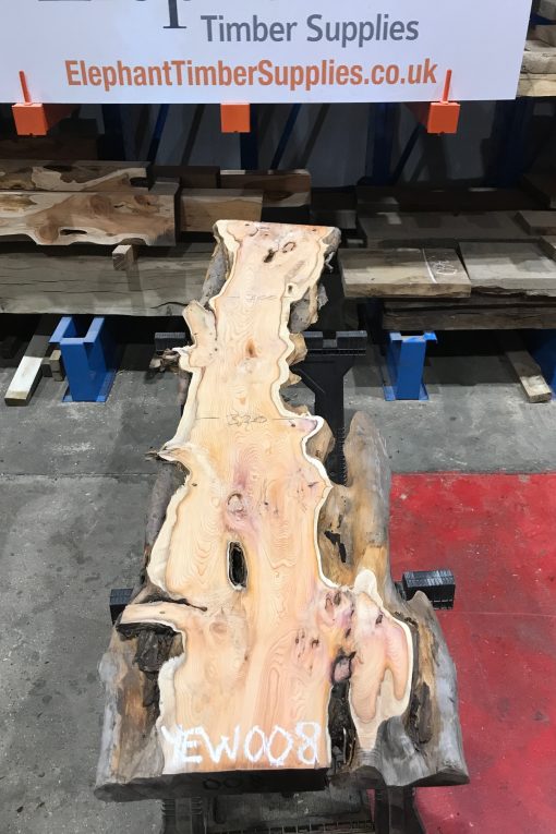 Premium Quality Kiln-Dried Yew Timber for Furniture, Flooring, and Millwork