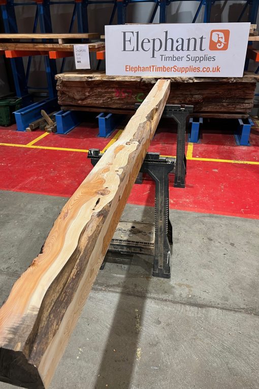 Premium Quality Kiln-Dried Yew Timber for Furniture, Flooring, and Millwork