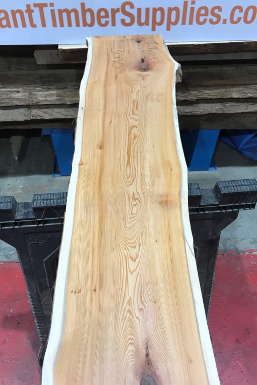 Premium Quality Kiln-Dried Yew Timber for Furniture, Flooring, and Millwork