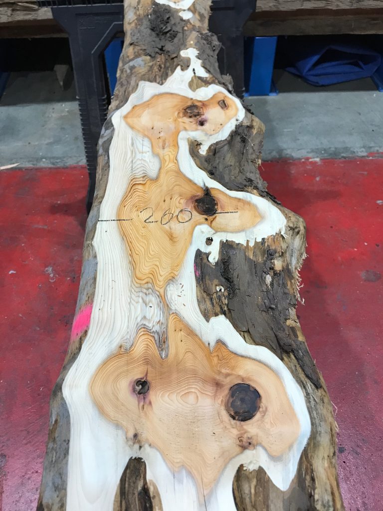 Spotlight on Yew Wood from Elephant Timber