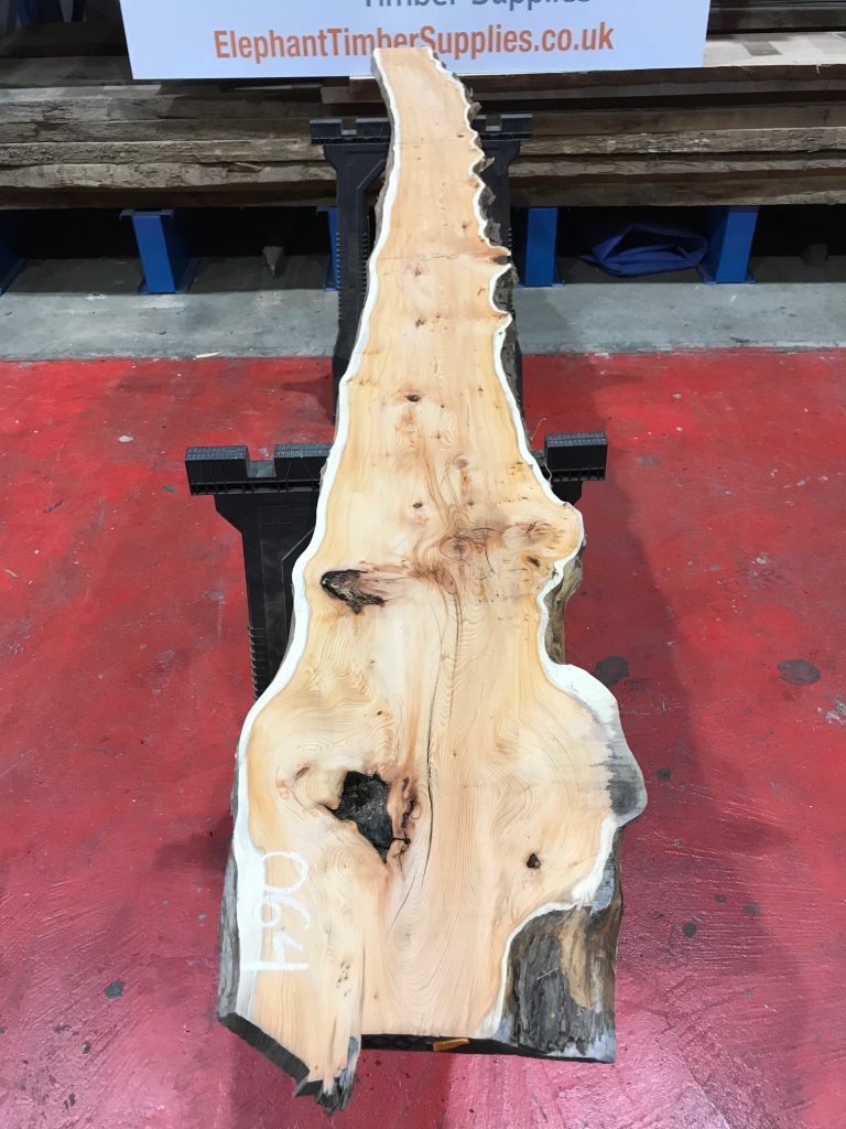Yew #064 Kiln Dried Plank with live wayne edges