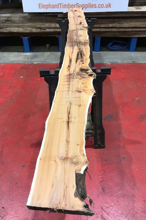 Premium Quality Kiln-Dried Yew Timber for Furniture, Flooring, and Millwork