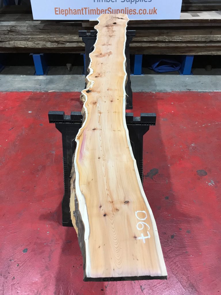Yew #067 Kiln Dried Plank with live wayne edges