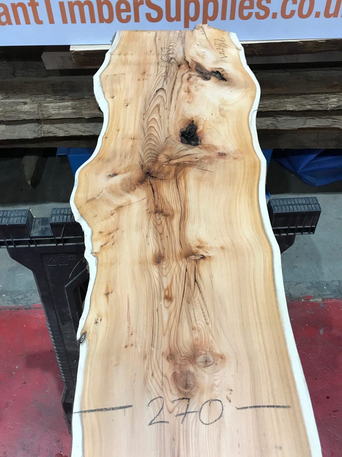 Spotlight on Yew Wood from Elephant Timber
