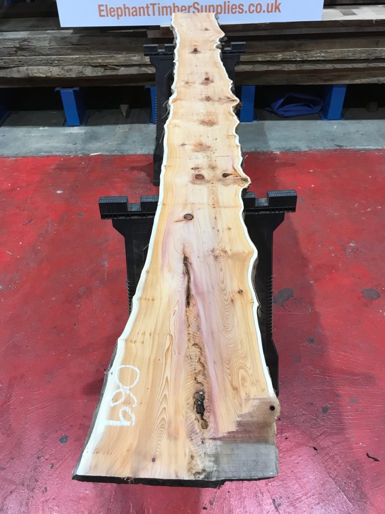 Yew #069 Kiln Dried Plank with live wayne edges