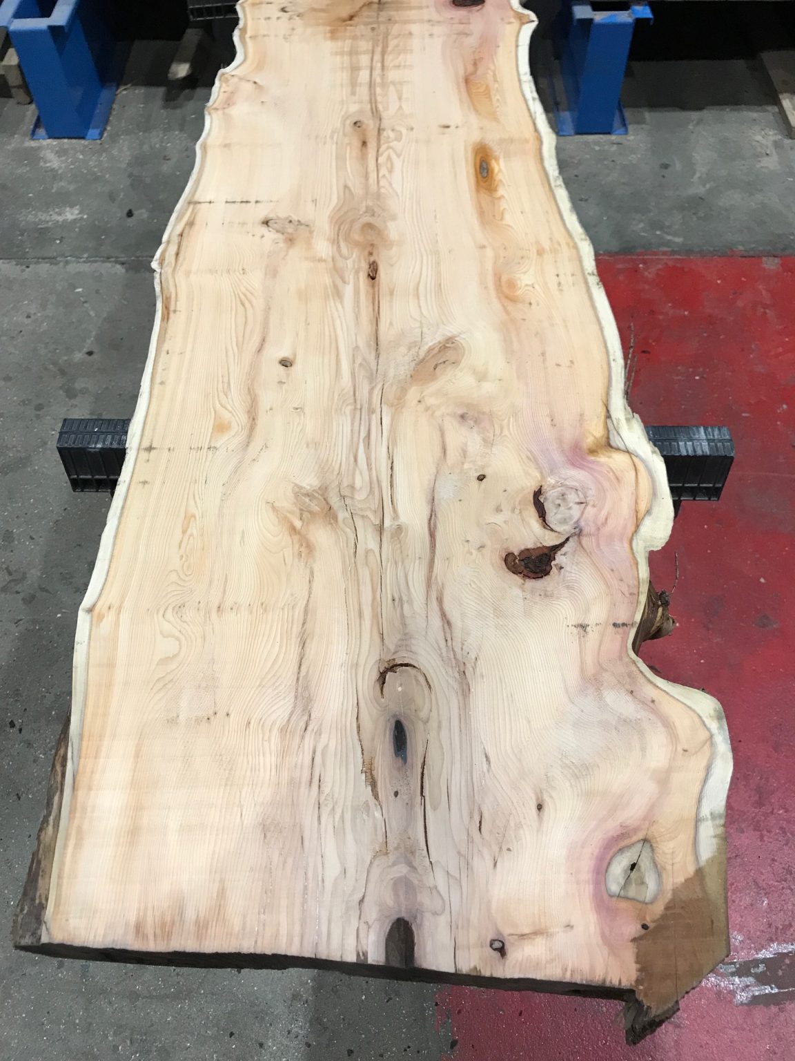 Yew #071 Kiln Dried Plank with live wayne edges