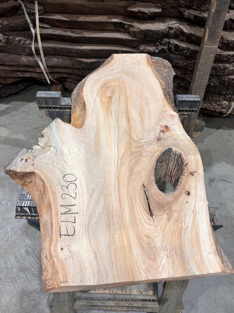 Elm #230 ⁄ Elephant Timber Supplies