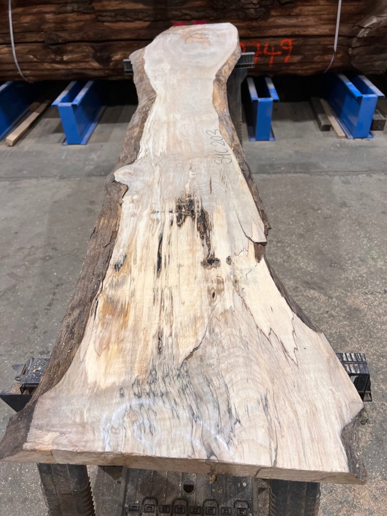 Sycamore #203 ⁄ Elephant Timber Supplies