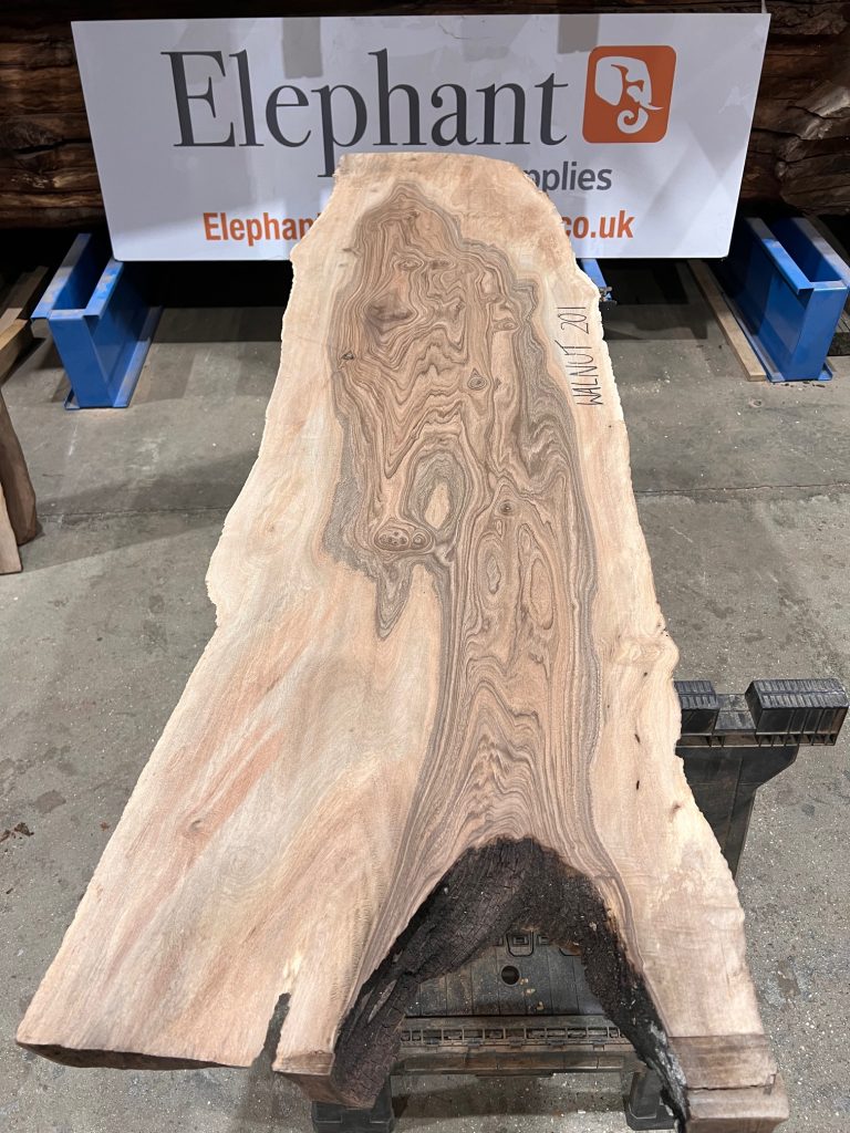 Walnut #201 ⁄ Elephant Timber Supplies