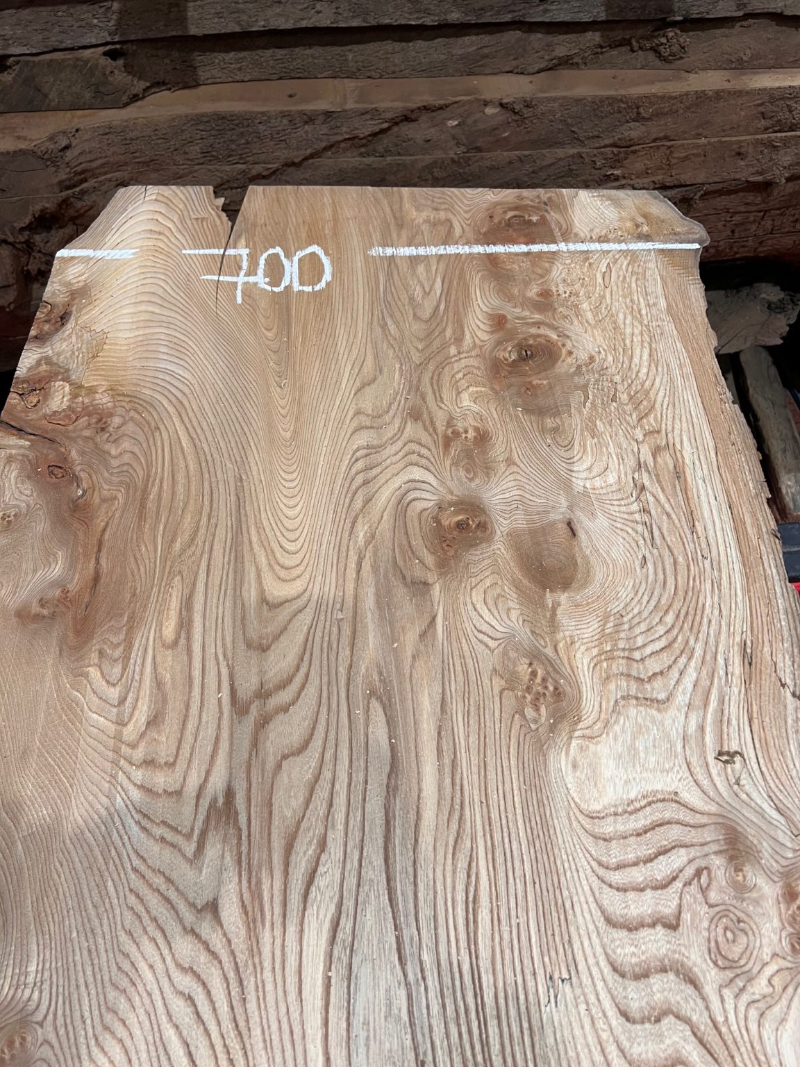 Elm #237 ⁄ Elephant Timber Supplies