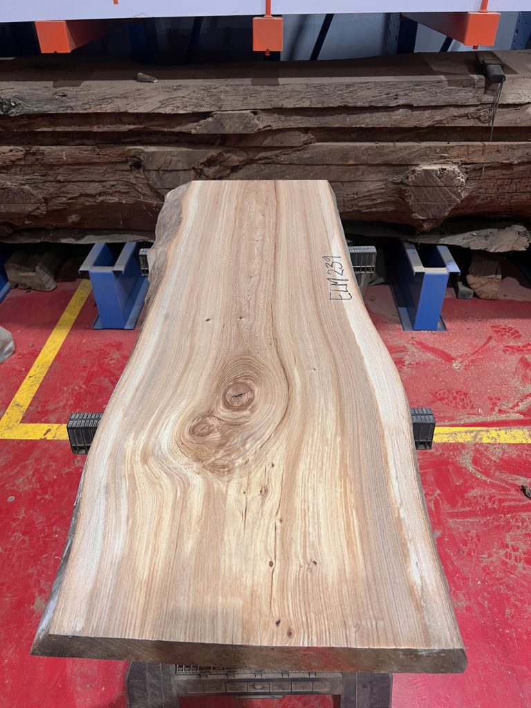 Elm #239 ⁄ Elephant Timber Supplies