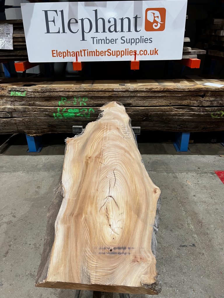 Elm #230 ⁄ Elephant Timber Supplies