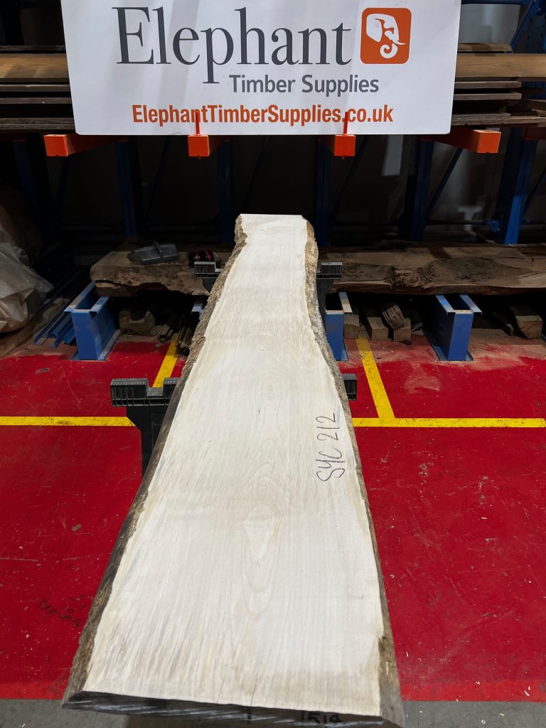 Sycamore #212 ⁄ Elephant Timber Supplies