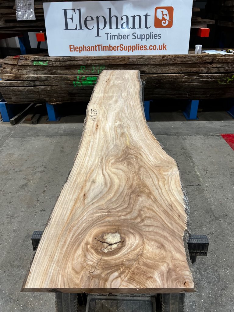 Elm #235 ⁄ Elephant Timber Supplies