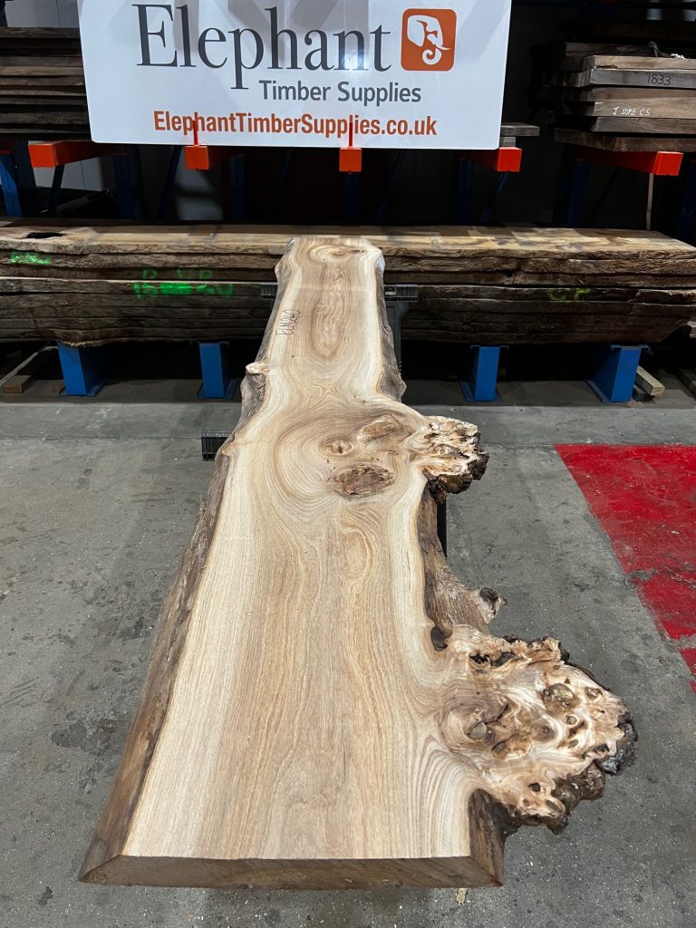 Elm #240 ⁄ Elephant Timber Supplies