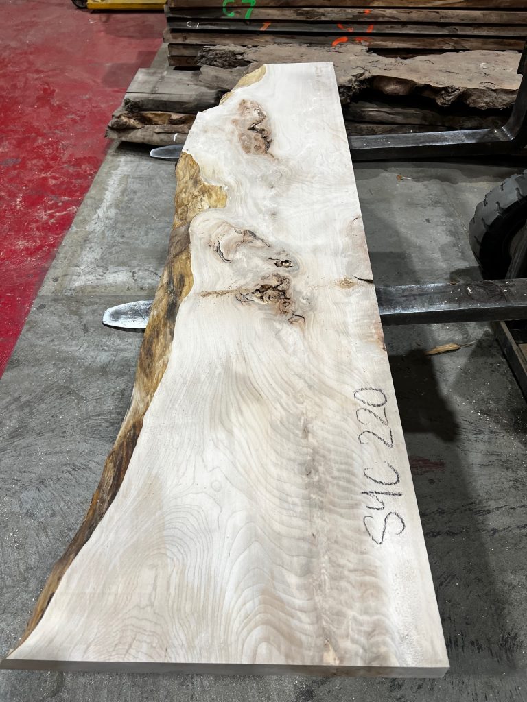 Sycamore #220 ⁄ Elephant Timber Supplies
